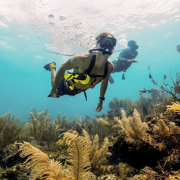 Blu3 Crash Course: How to Set Up the Nomad like a Pro — Detector Power